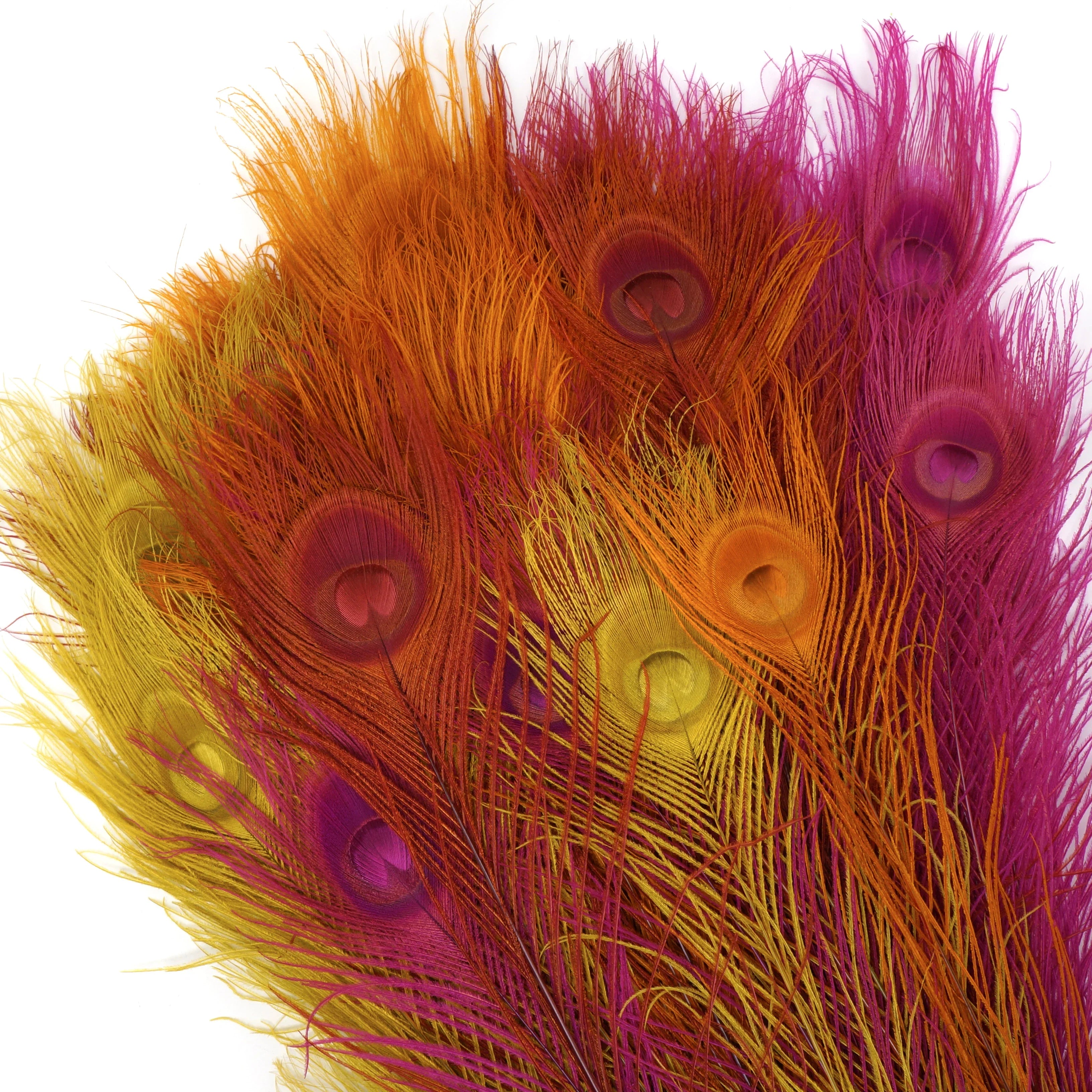 Bleached and Dyed Peacock Eye Feathers – Zucker Feather Products, Inc.