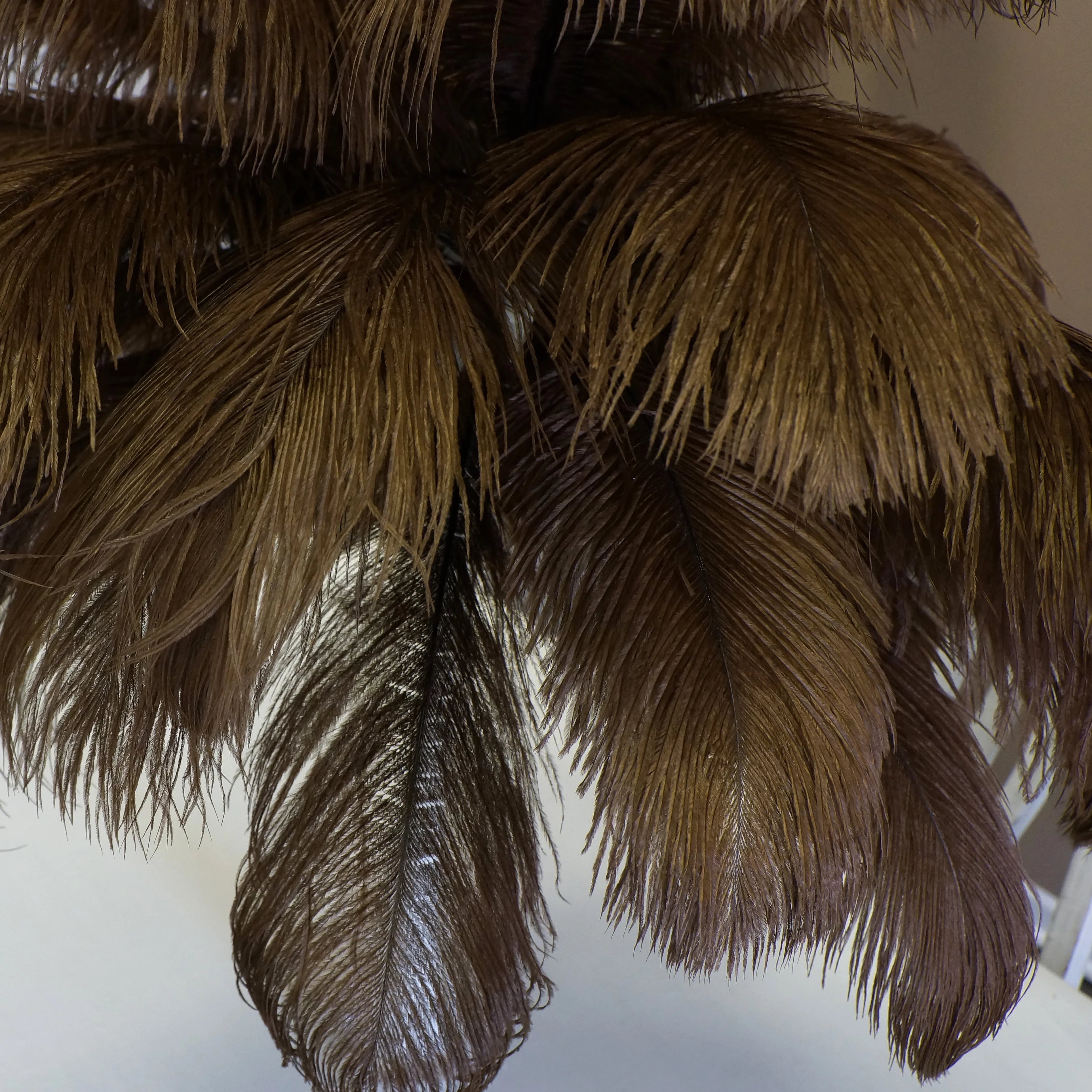 Brown Feathers – Zucker Feather Products, Inc.