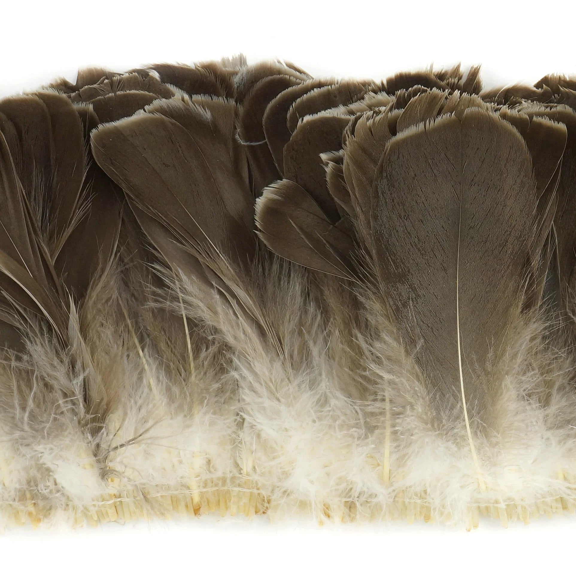 Bulk Goose Feathers – Zucker Feather Products, Inc.