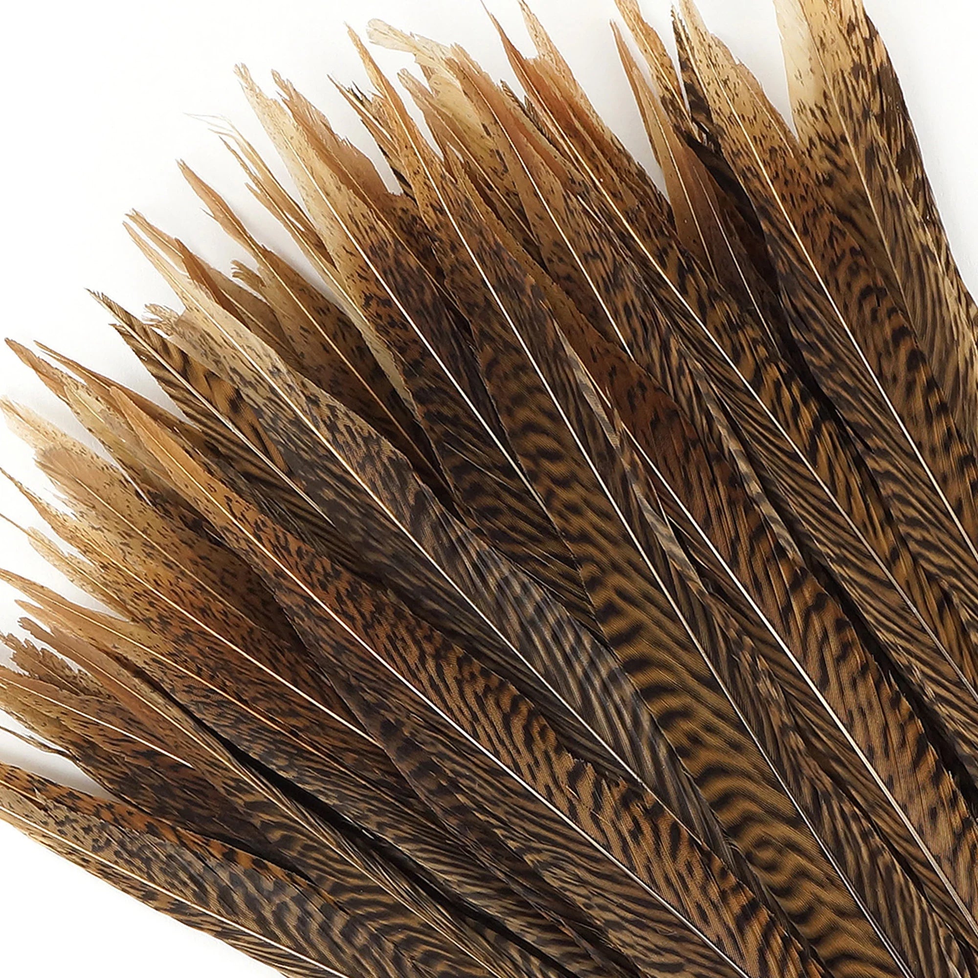 Bulk Pheasant Feathers – Zucker Feather Products, Inc.