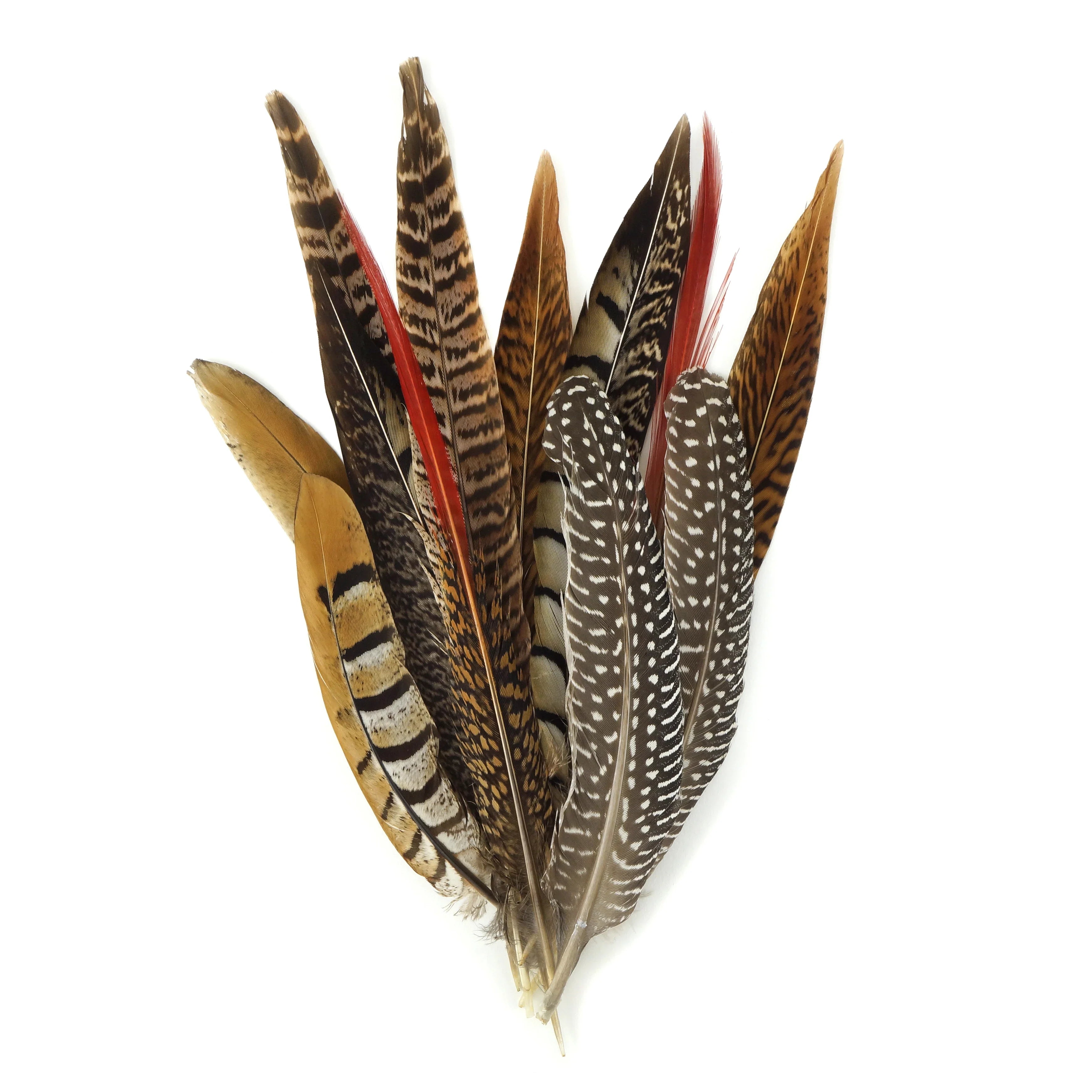 Pheasant Craft Feathers – Zucker Feather Products, Inc.