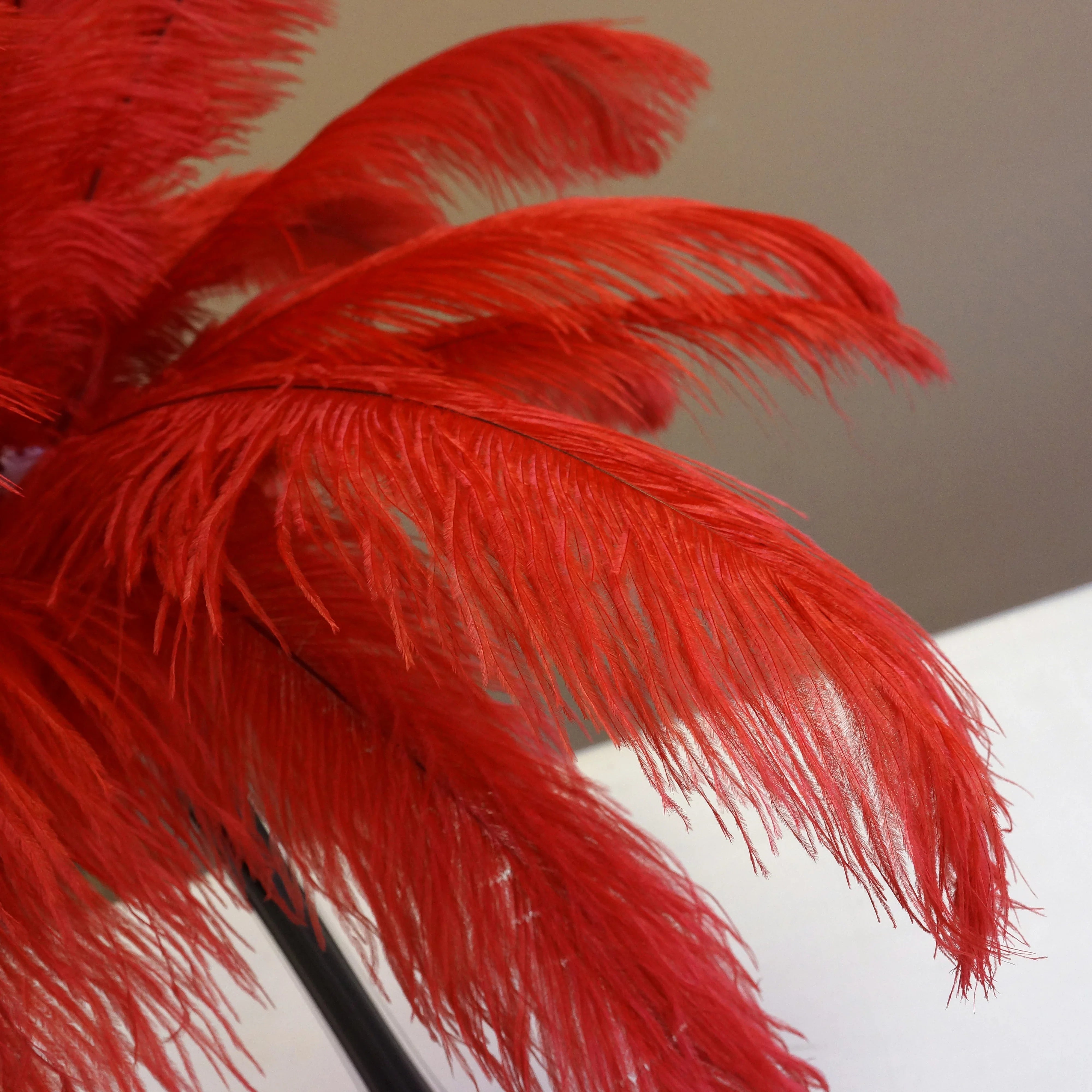 Red Feathers – Zucker Feather Products, Inc.