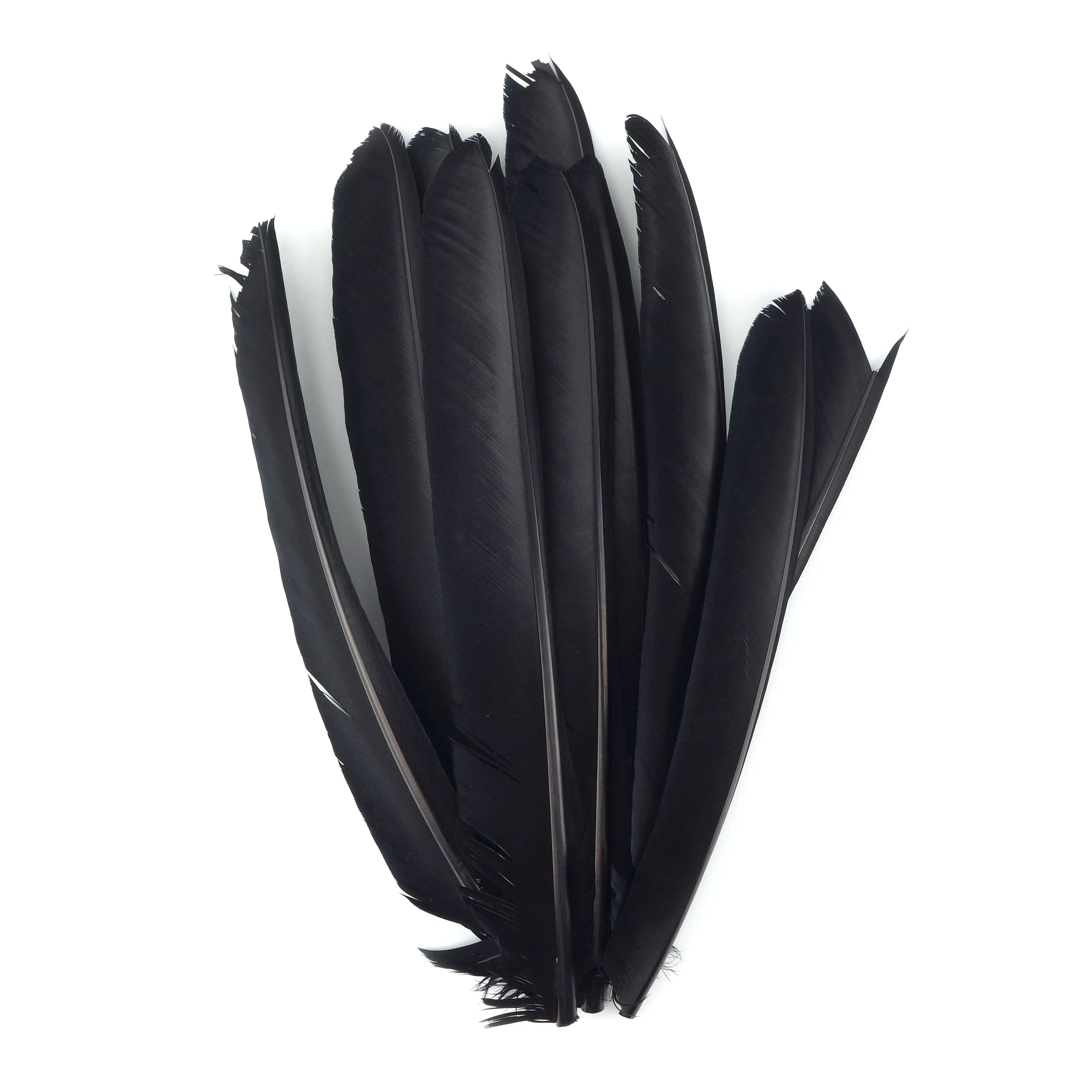 Turkey Pointer Feathers – Zucker Feather Products, Inc.