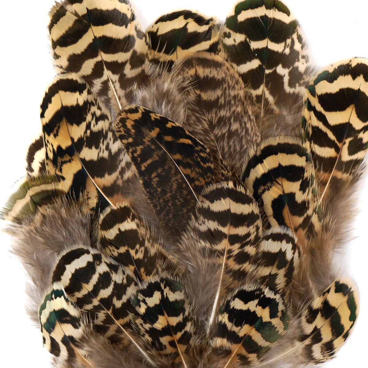 Natural Chinchilla Peacock Feather Plumage | Buy Craft Feathers ...