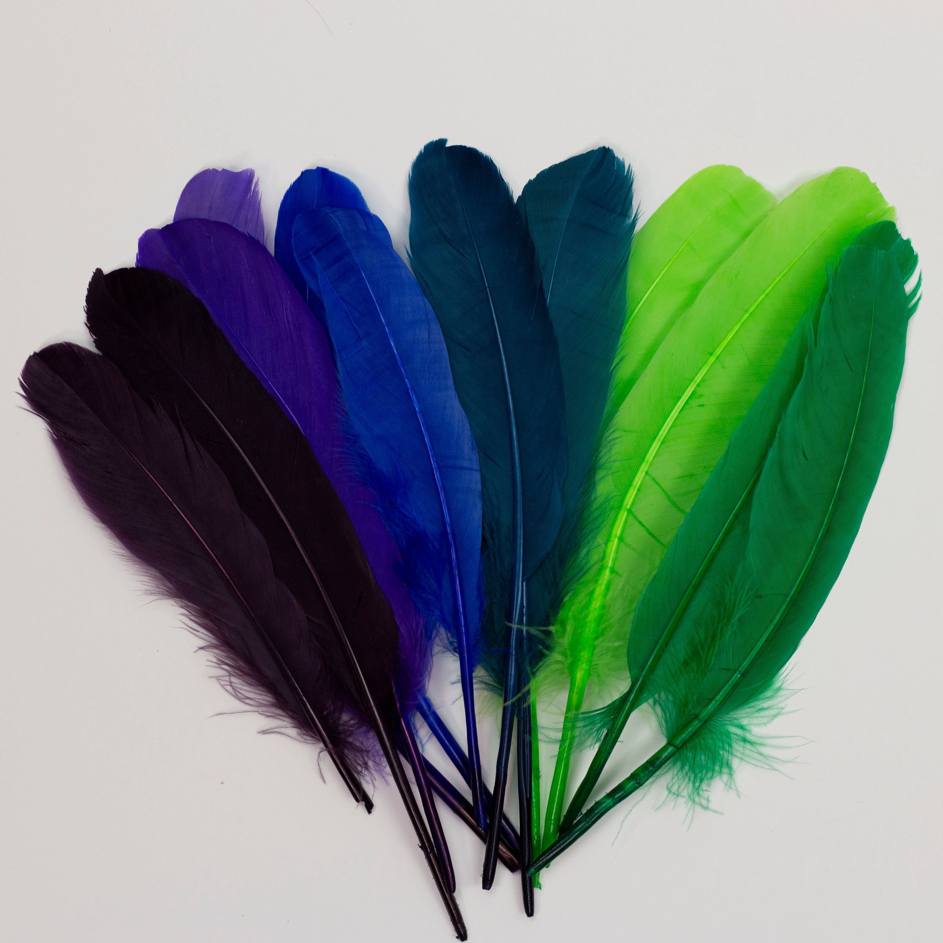 Blue and Green Goose Feathers for Arts and Crafts | Hat Making Feathers ...