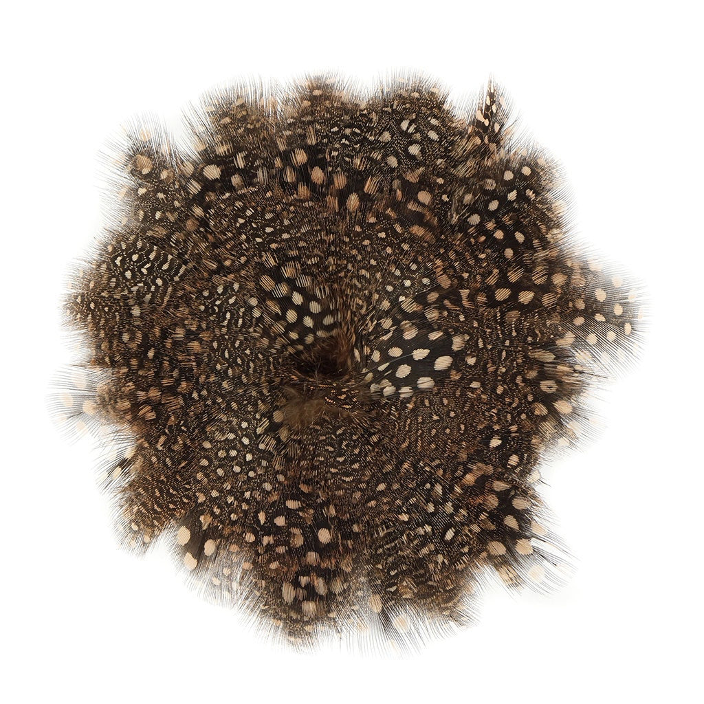Guinea Plumage Feathers – Zucker Feather Products, Inc.