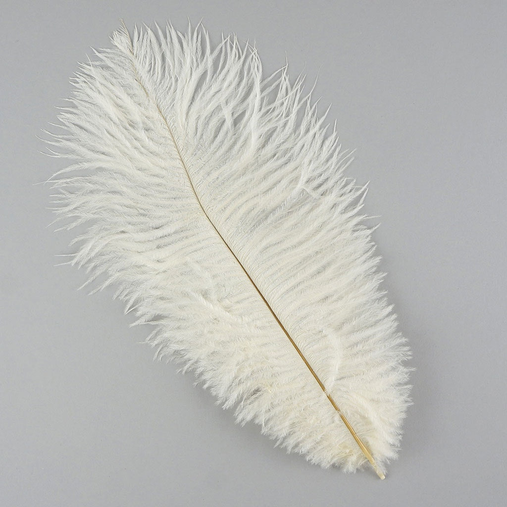 Ivory Ostrich Drabs Feather | 12 Pieces 13-16 Inches Craft Feathers ...