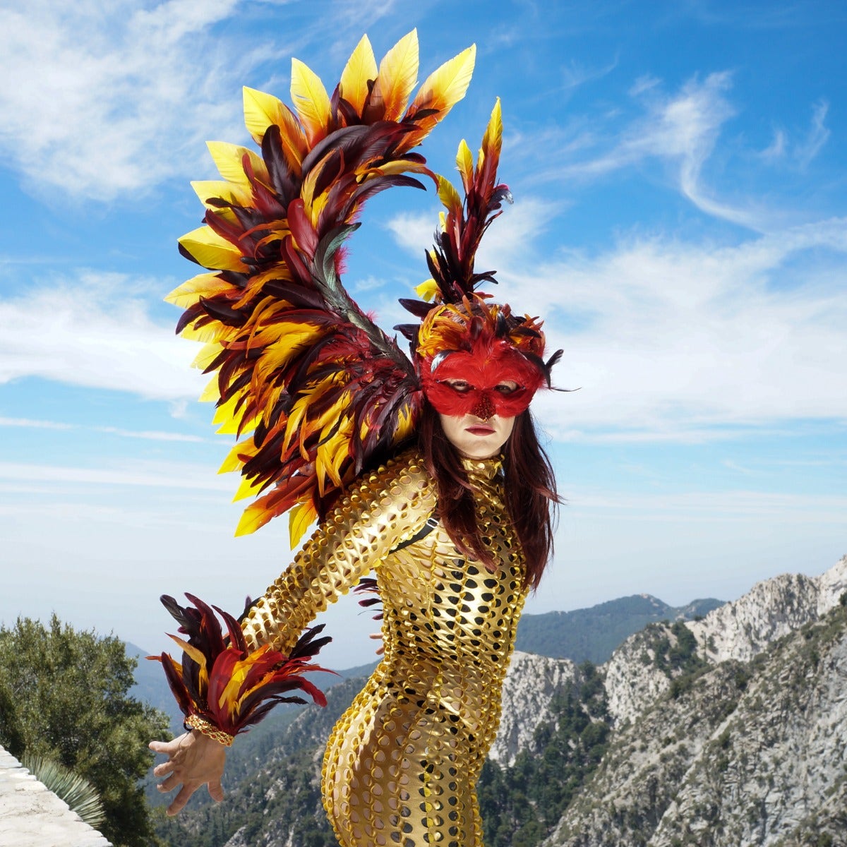 Phoenix Firebird Feather Wings | Phoenix Firebird Costume Feather Wings ...